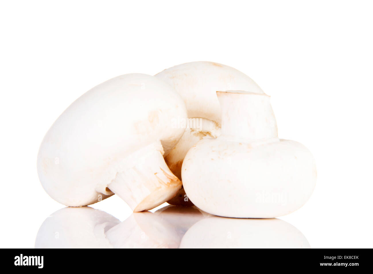 Edible button mushroom, champignon Stock Photo - Alamy
