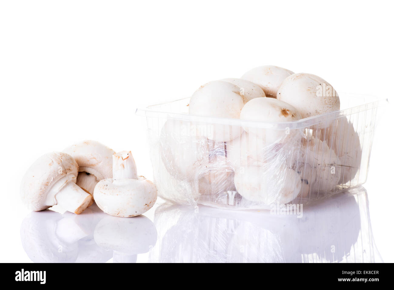 Edible button mushroom, champignon Stock Photo - Alamy