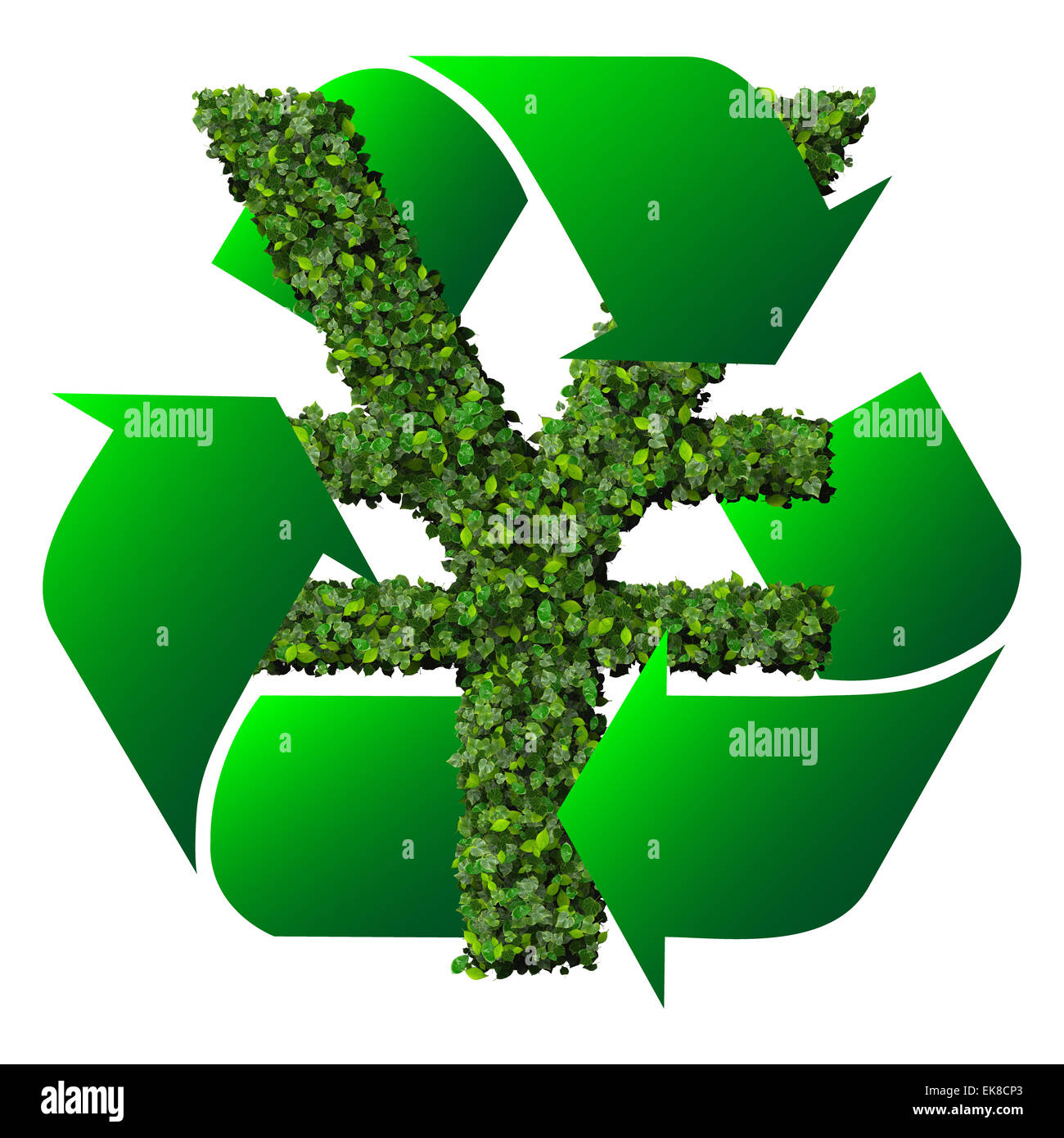 n (currency) symbol or sign made from green leaves isolated on white ...