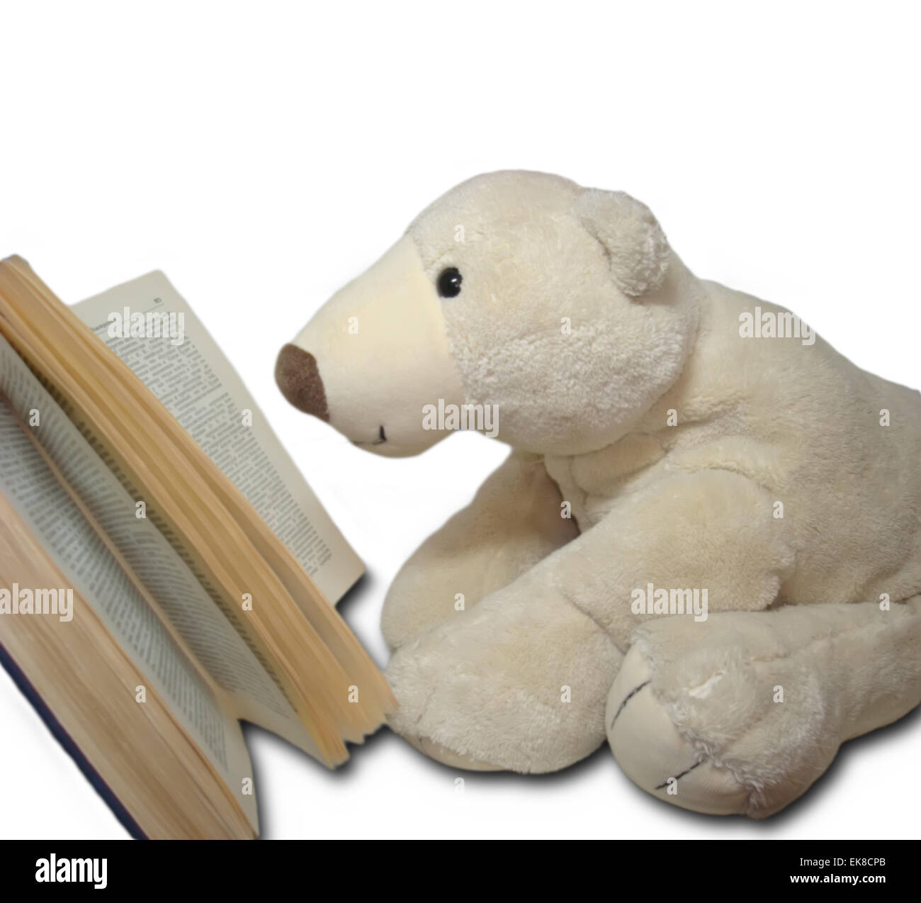 reading teedy bear Stock Photo - Alamy