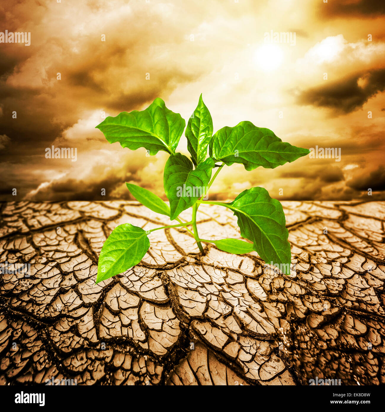 Background Landscape Skydea Happy