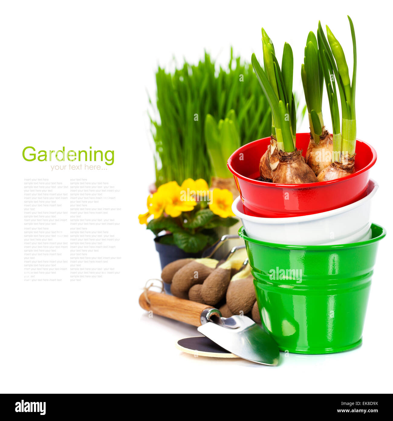 Spring flowers border on Cut Out Stock Images & Pictures - Alamy