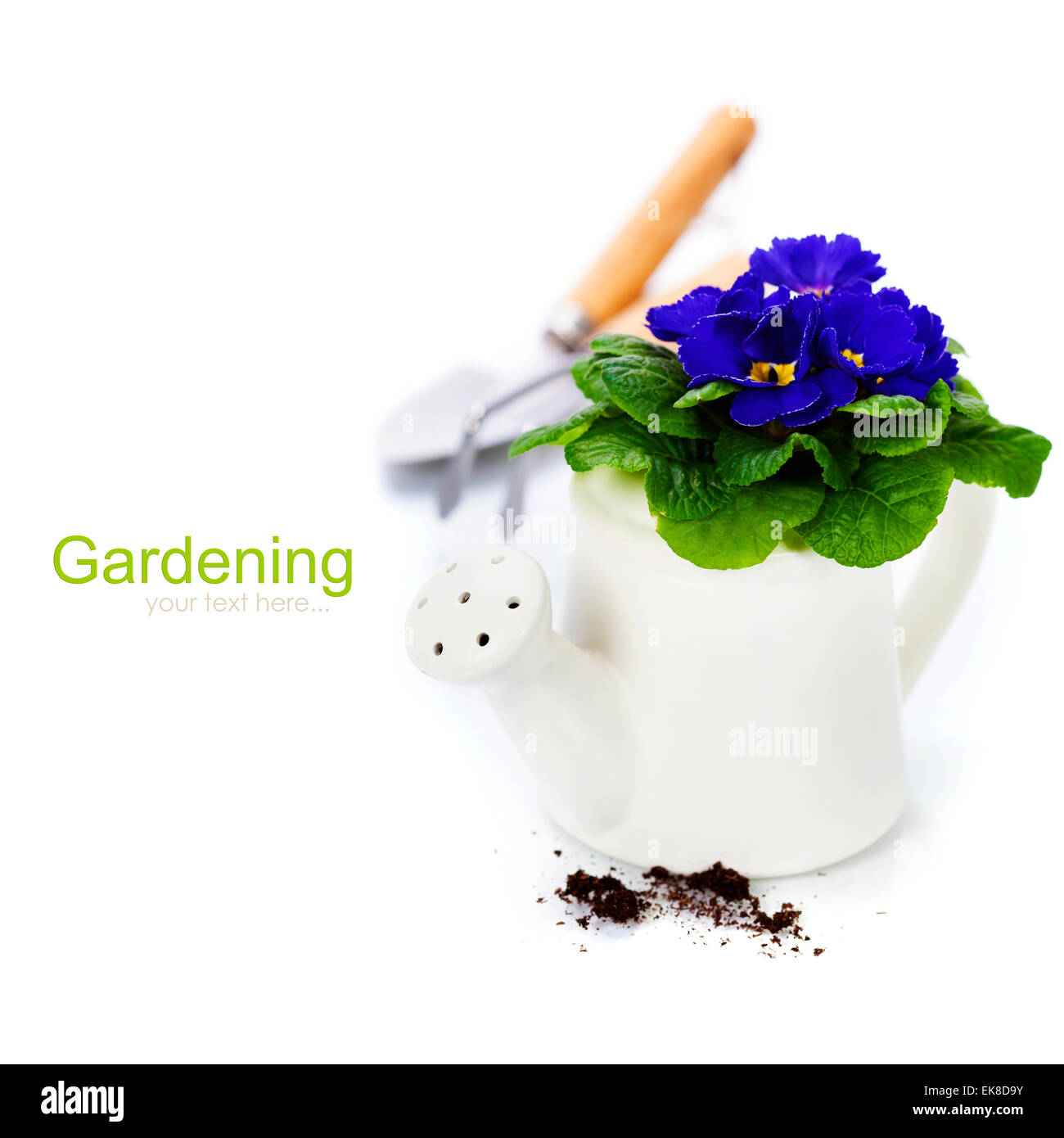 Fresh and easy Cut Out Stock Images & Pictures - Alamy