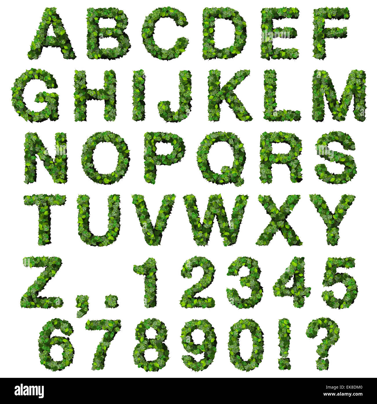 Alphabet with numbers made from green leaves isolated on white ...