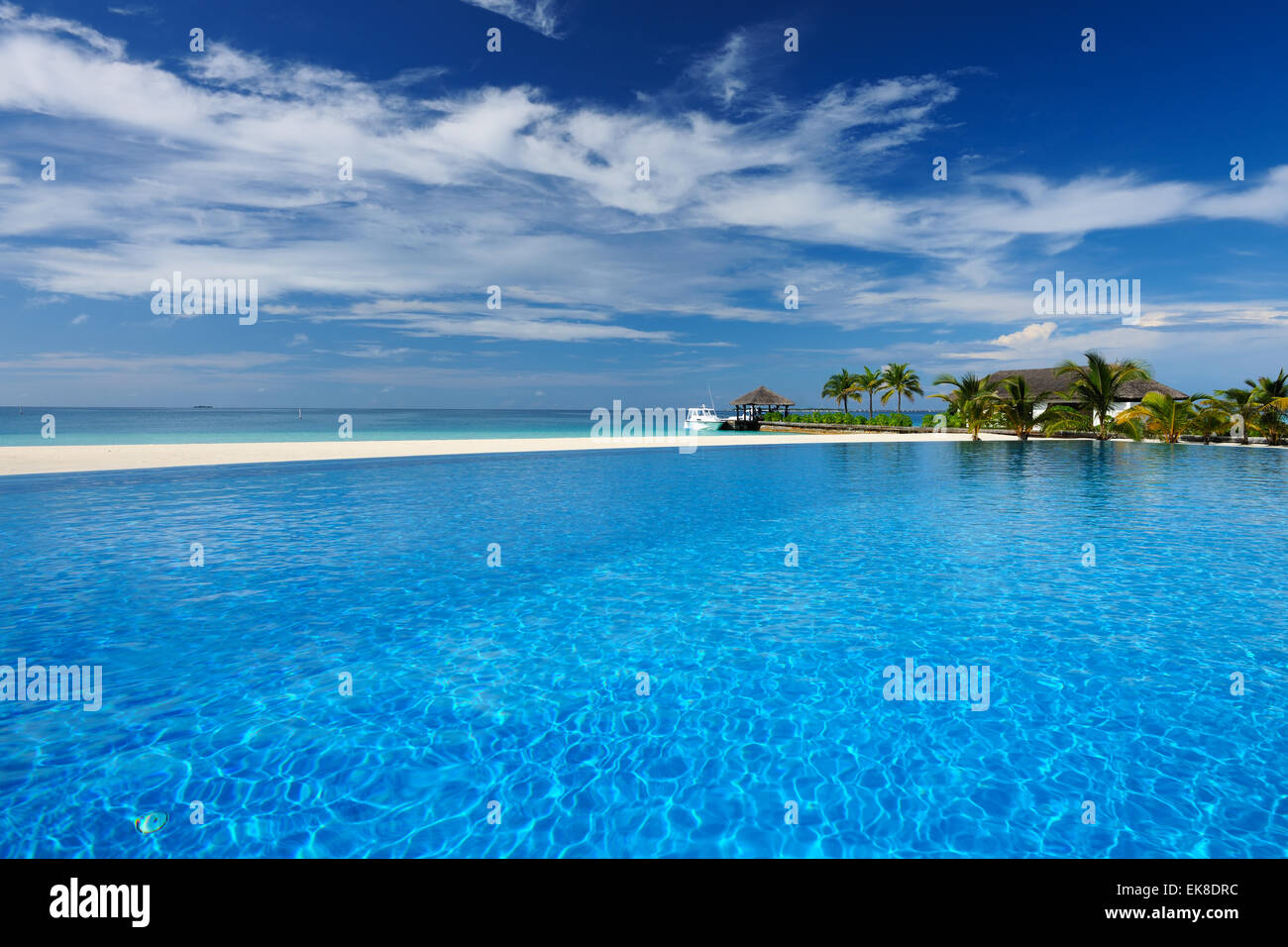 Luxury tropical swimming pool Stock Photo - Alamy