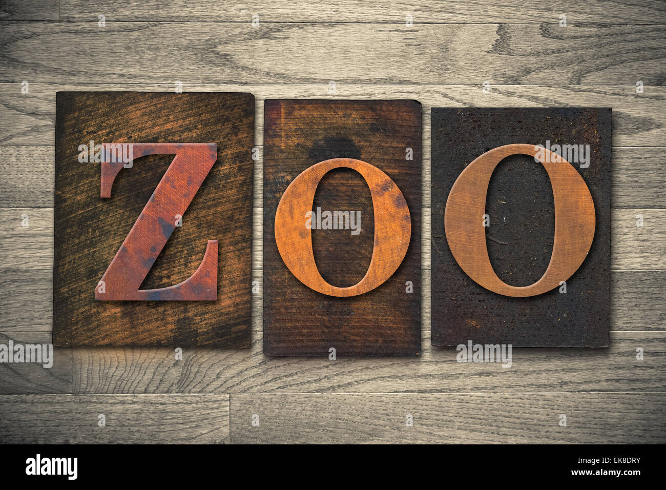 The word "ZOO" theme written in vintage, ink stained, wooden ...