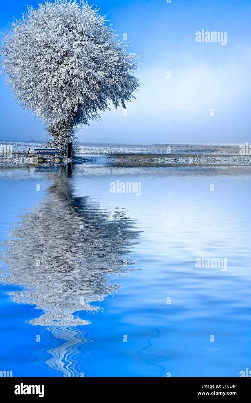 Winter landscape a single tree Stock Photo - Alamy