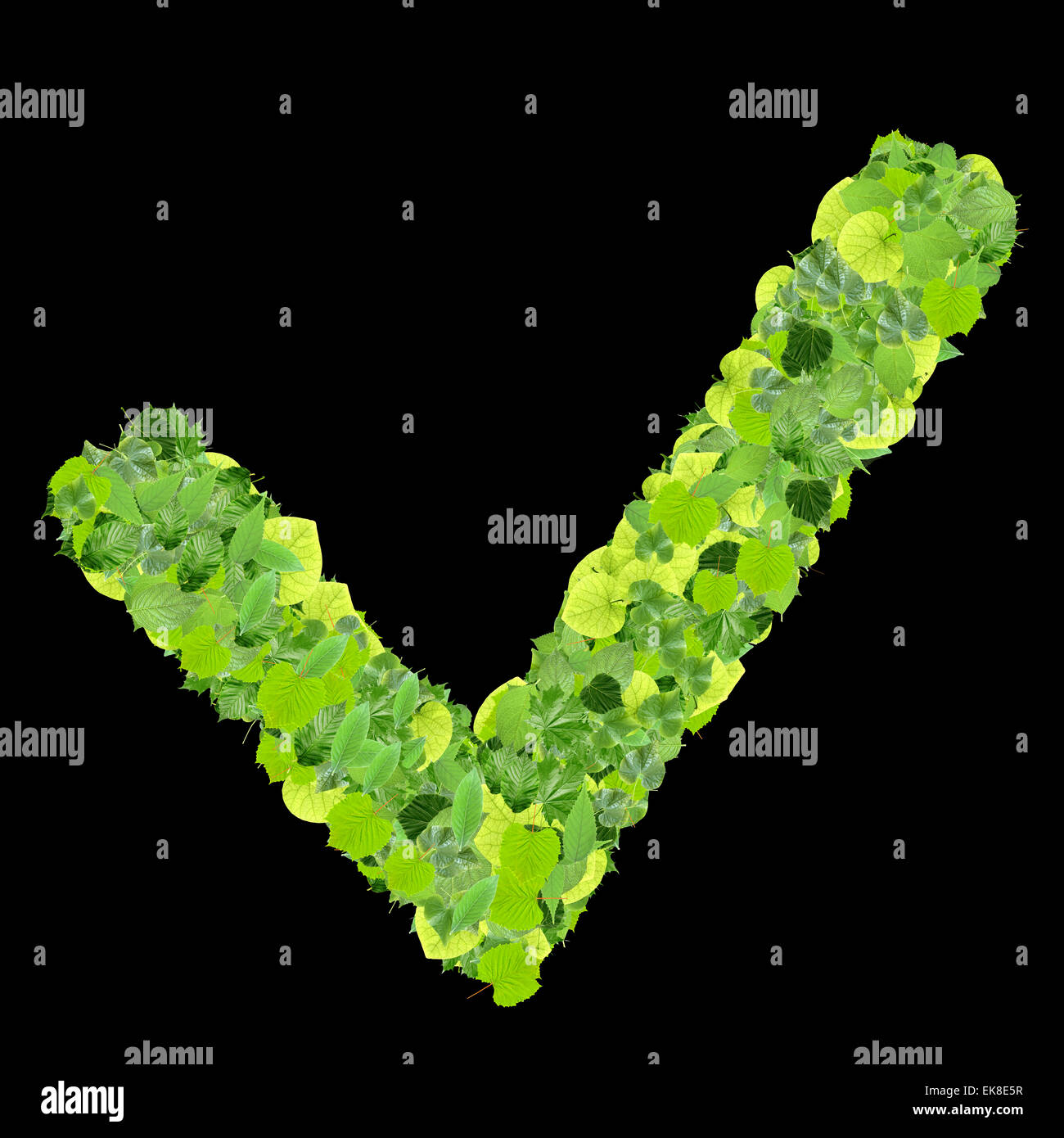 Approved, ok, like, eco sign made from green leaves isolated on ...