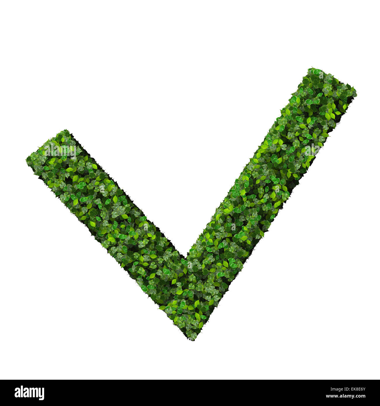 Approved, ok, like, eco sign made from green leaves isolated on ...