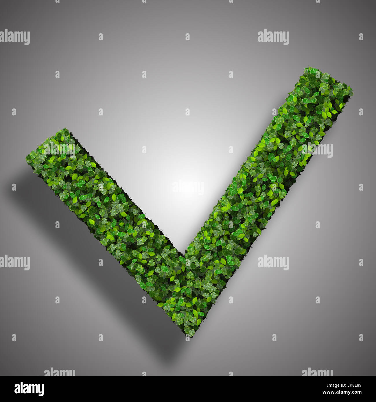 Approved, ok, like, eco sign made from green leaves isolated on ...