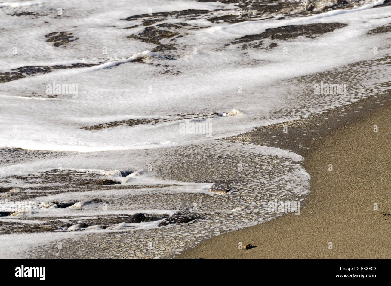 little waves on the shoreline Stock Photo - Alamy
