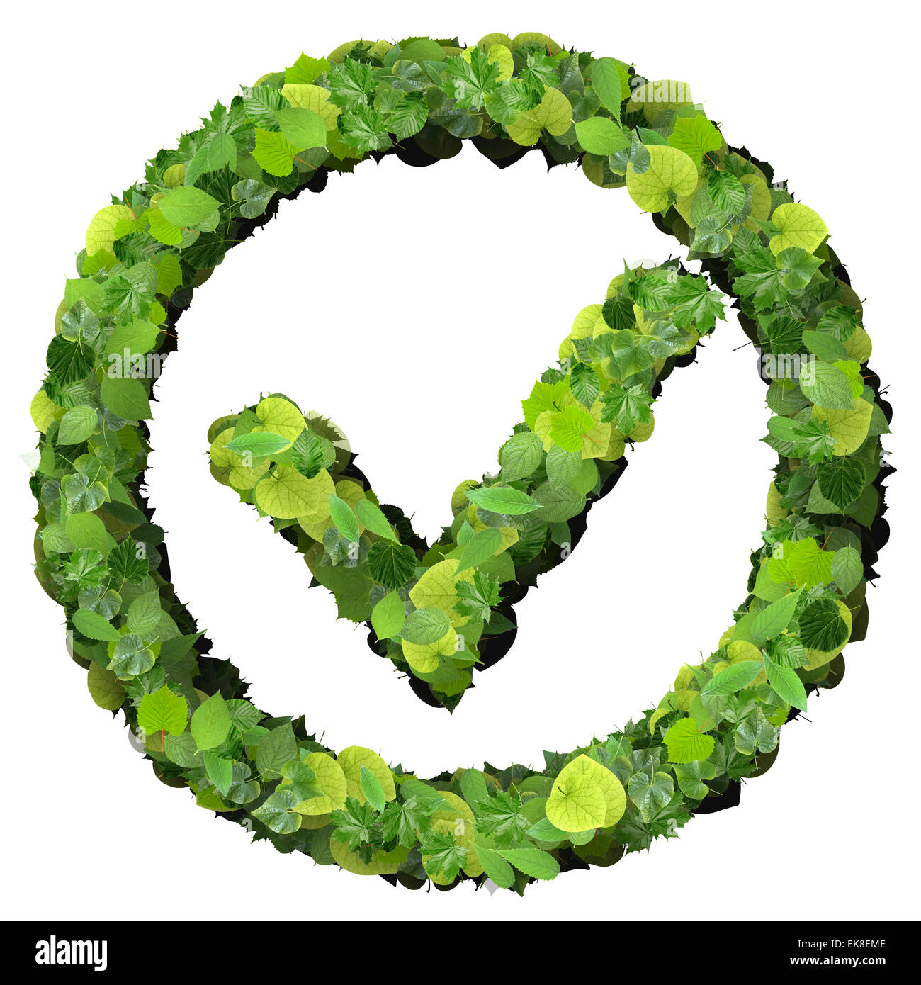 Approved, ok, like, eco sign made from green leaves isolated on ...