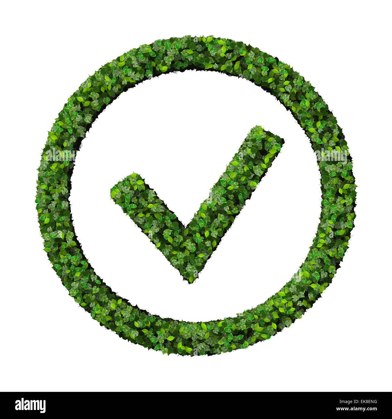 Approved, ok, like, eco sign made from green leaves isolated on ...