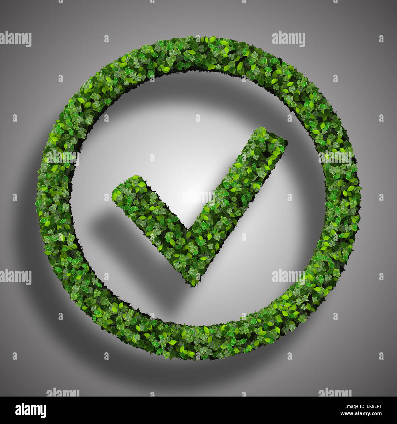 Approved, ok, like, eco sign made from green leaves isolated on ...