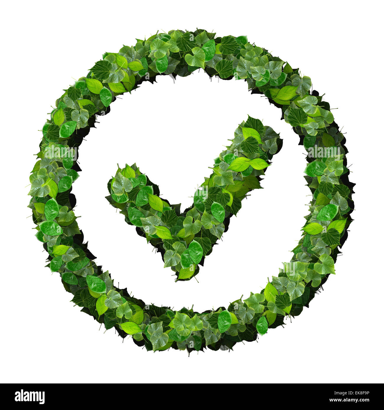Approved, ok, like, eco sign made from green leaves isolated on ...