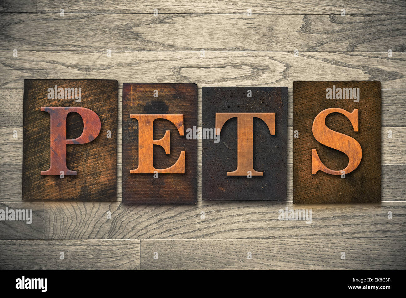 The word "PETS" theme written in vintage, ink stained, wooden ...