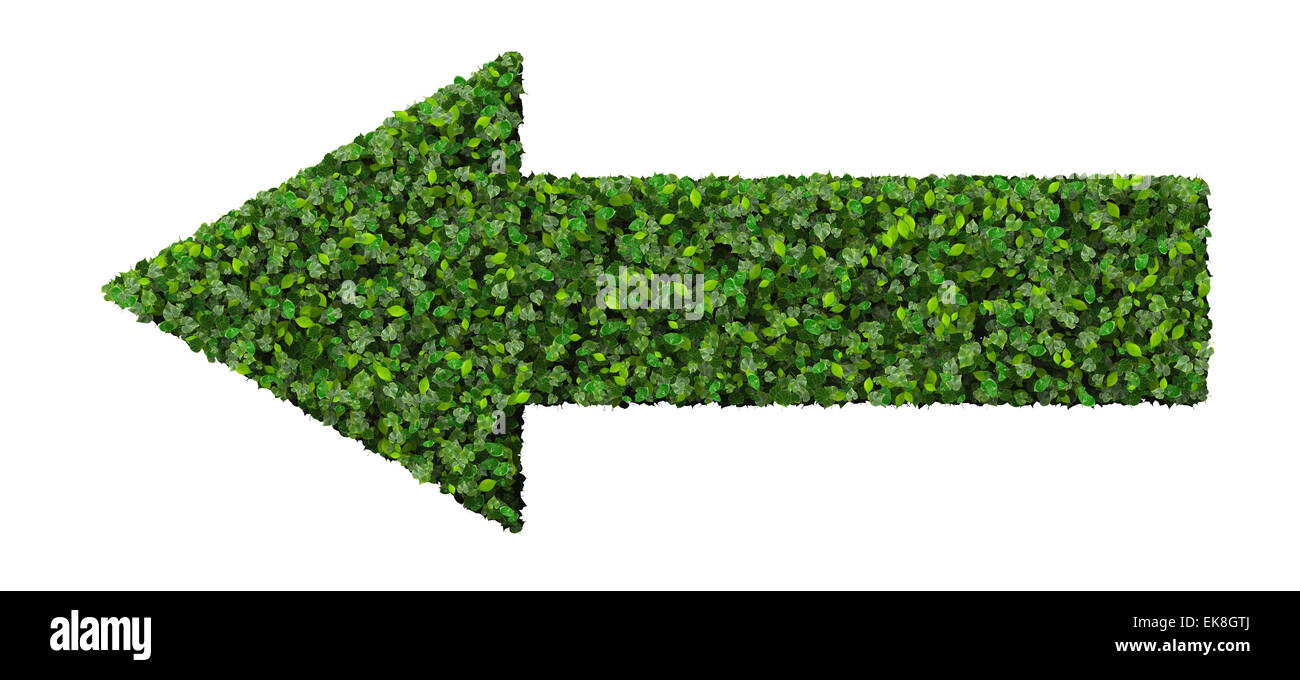 Arrow made from green leaves isolated on background. 3D render Stock ...