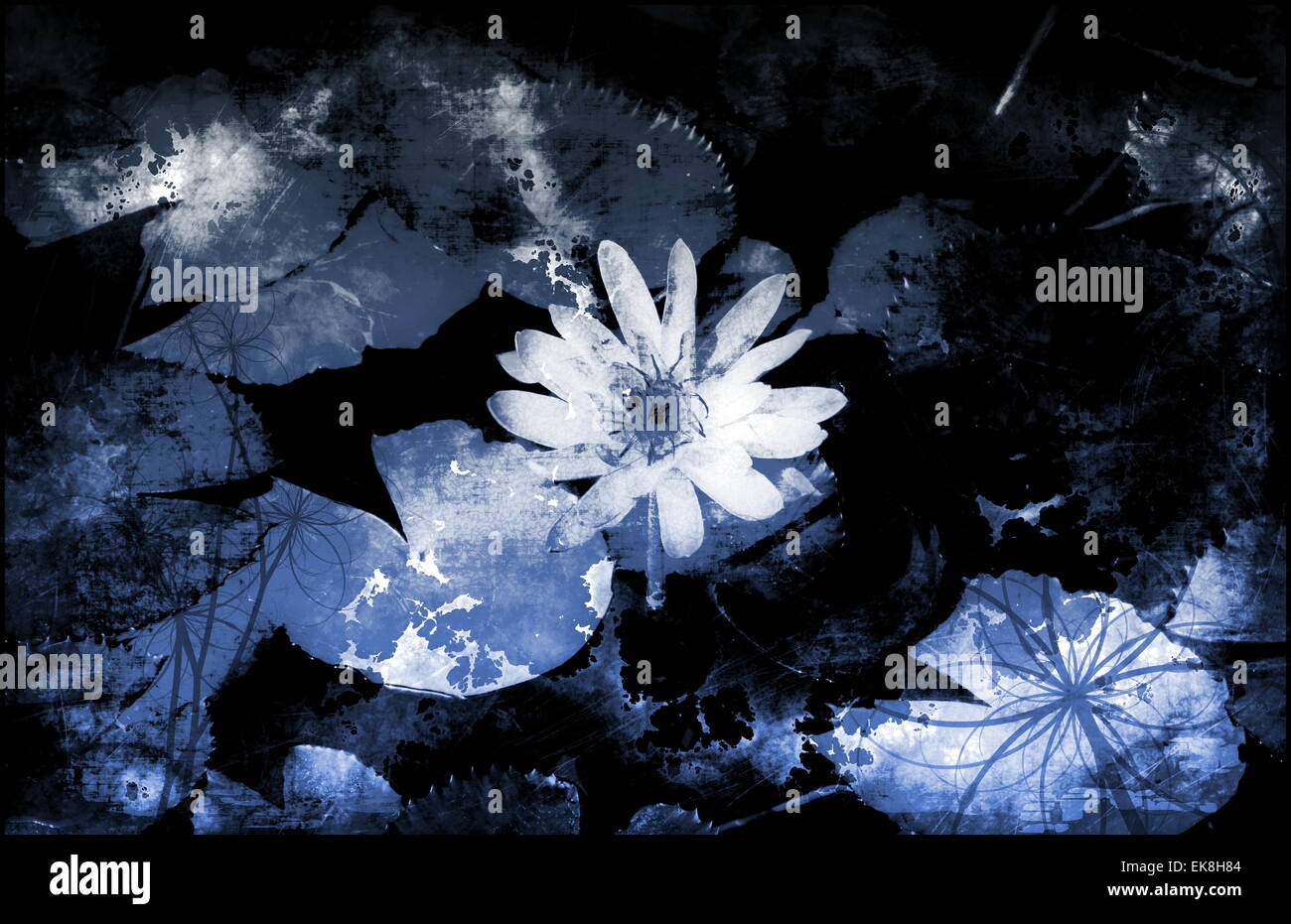 Innocence in Nature Painted Flowers Stock Photo - Alamy