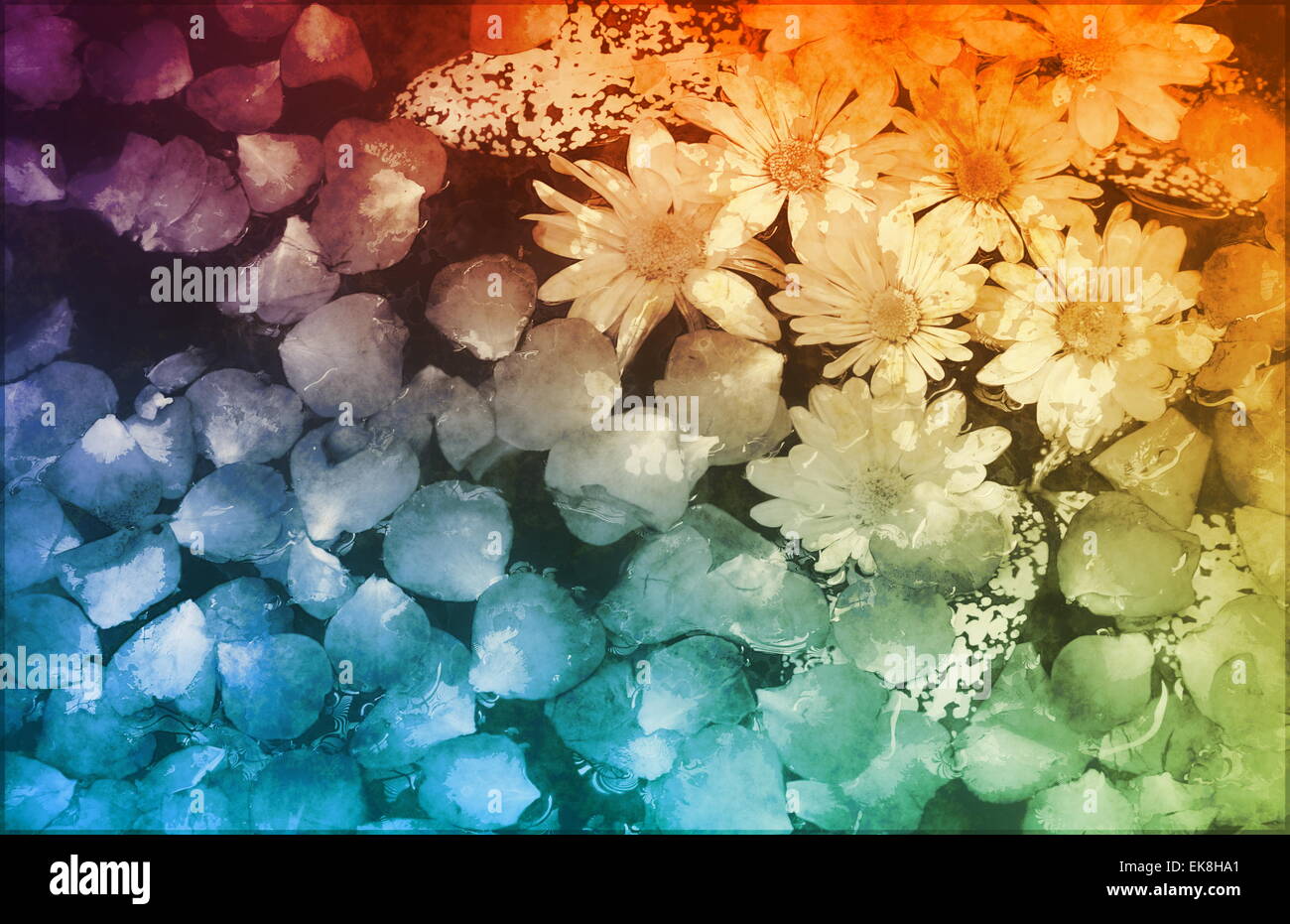 Innocence floral wallpaper hi-res stock photography and images - Alamy