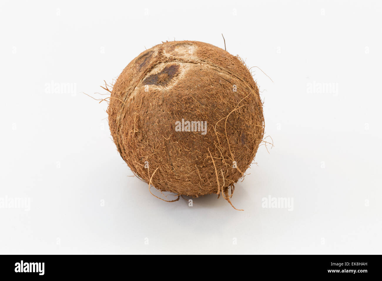 Coconut fruit isolated as Cut Stock Photo - Alamy