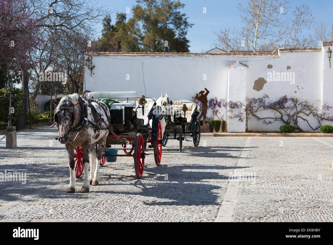 A horse and cart tourist ride outside the Plaza de toros de Ronda Stock ...
