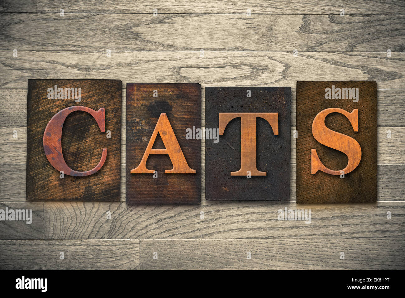 The word "CATS" theme written in vintage, ink stained, wooden ...
