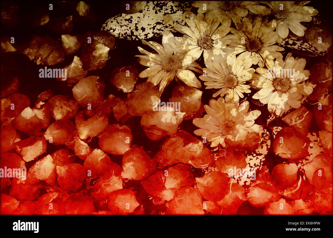 Innocence floral wallpaper hi-res stock photography and images - Alamy