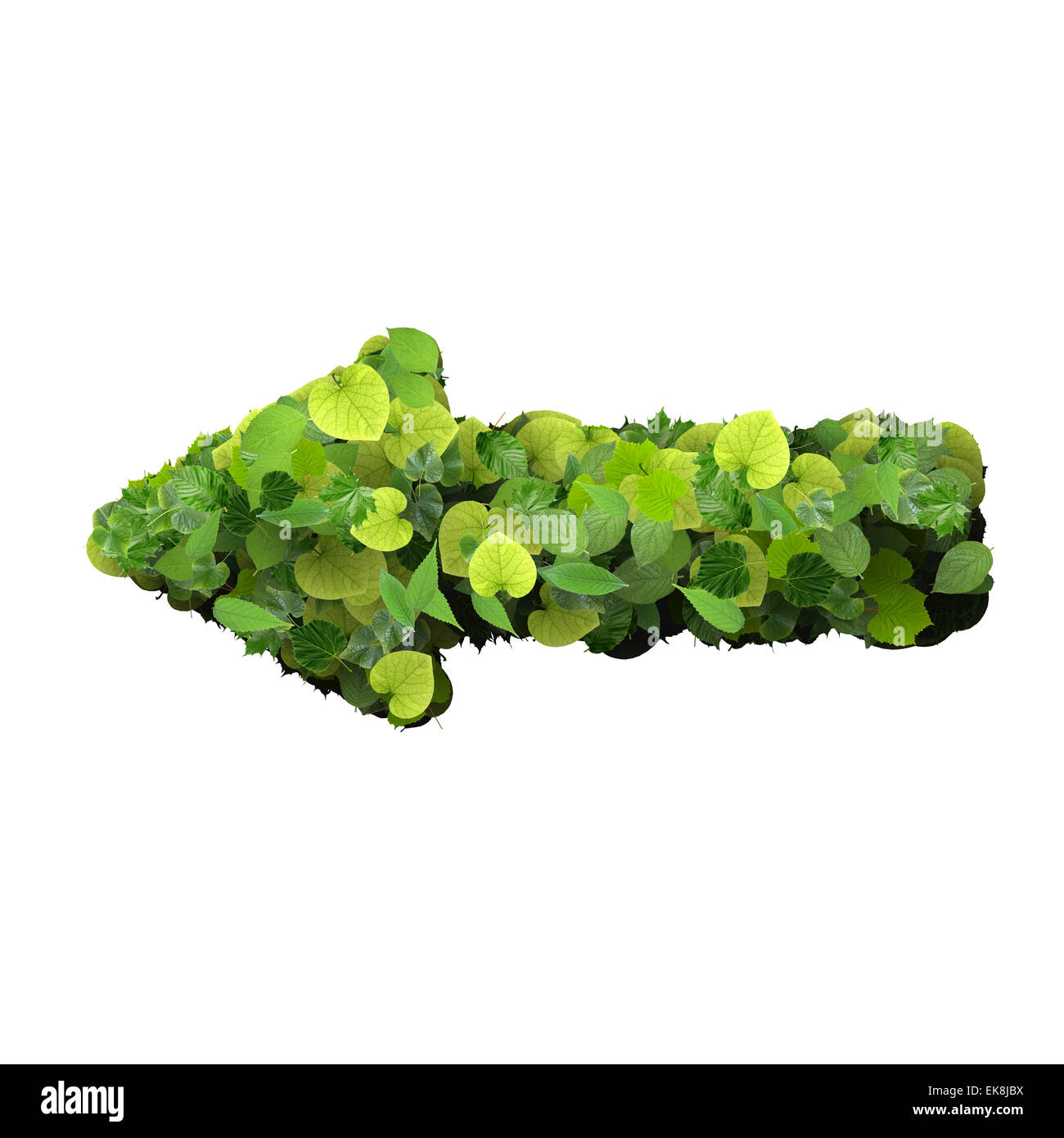 Arrow made from green leaves isolated on background. 3D render Stock ...
