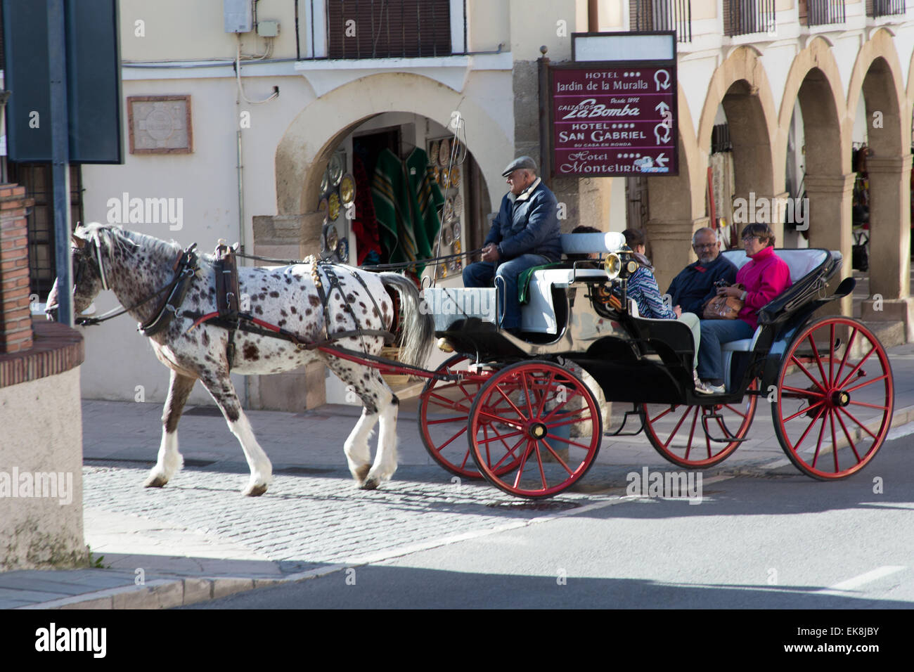 Neolithic horse hi-res stock photography and images - Alamy
