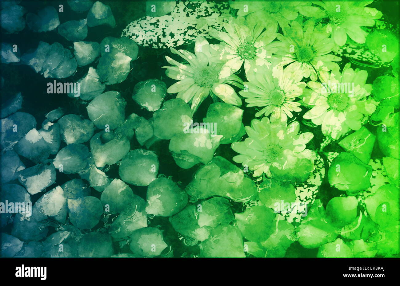Innocence floral wallpaper hi-res stock photography and images - Alamy
