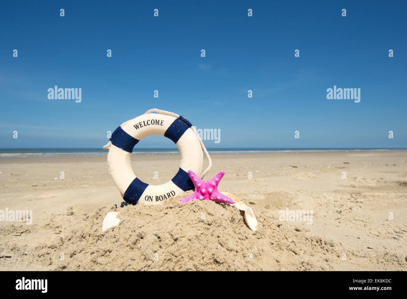 Summer beach with life buoy and shell fish Stock Photo - Alamy