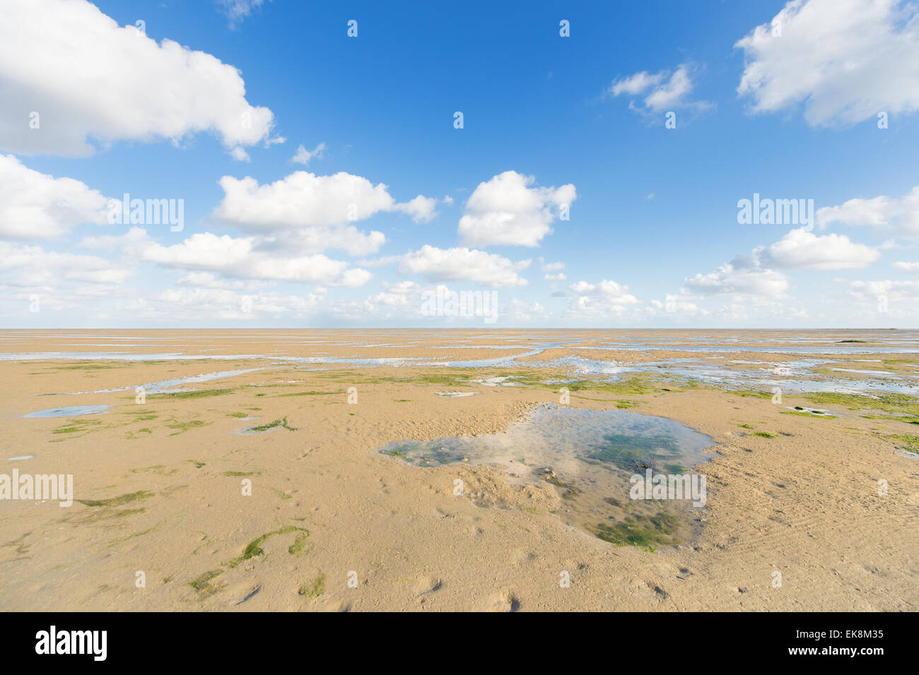 Mudflat or shallow at Dutch wadden sea near Terschelling Stock Photo ...
