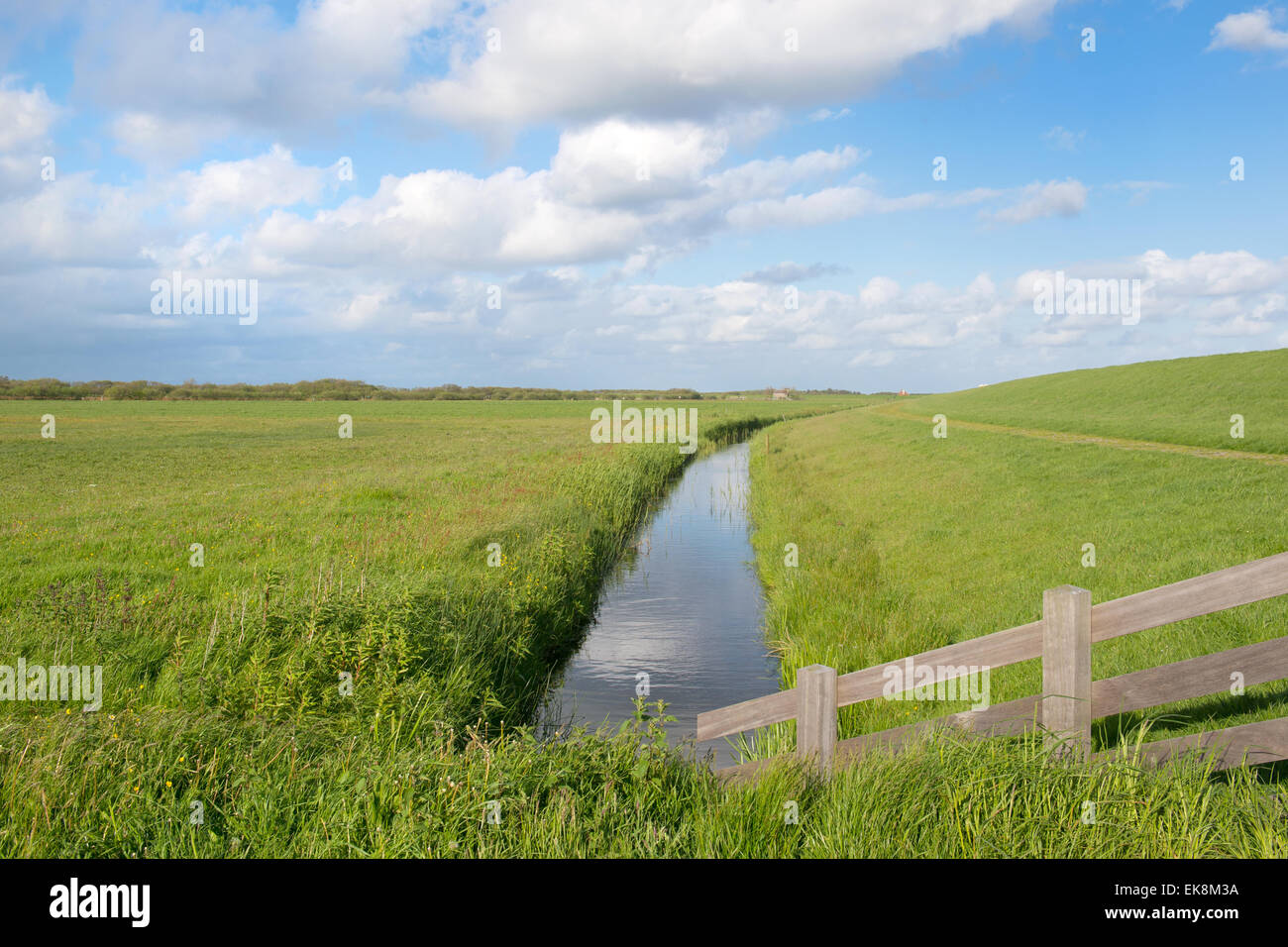 Landscape in Holland with dike and meadows at wadden island ...