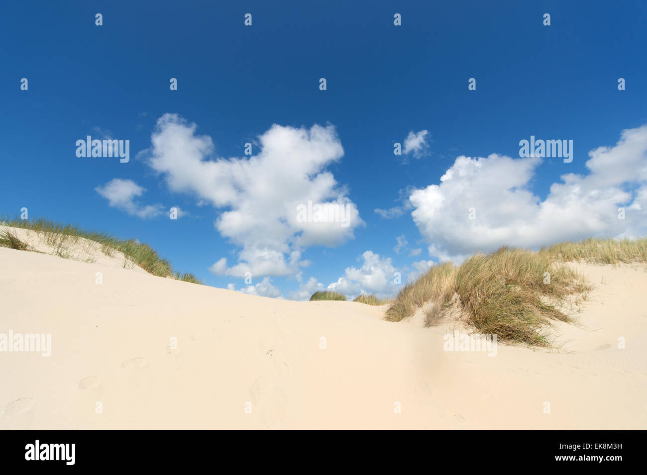 Sand dunes at the coast of Dutch wadden island Terschelling Stock Photo ...