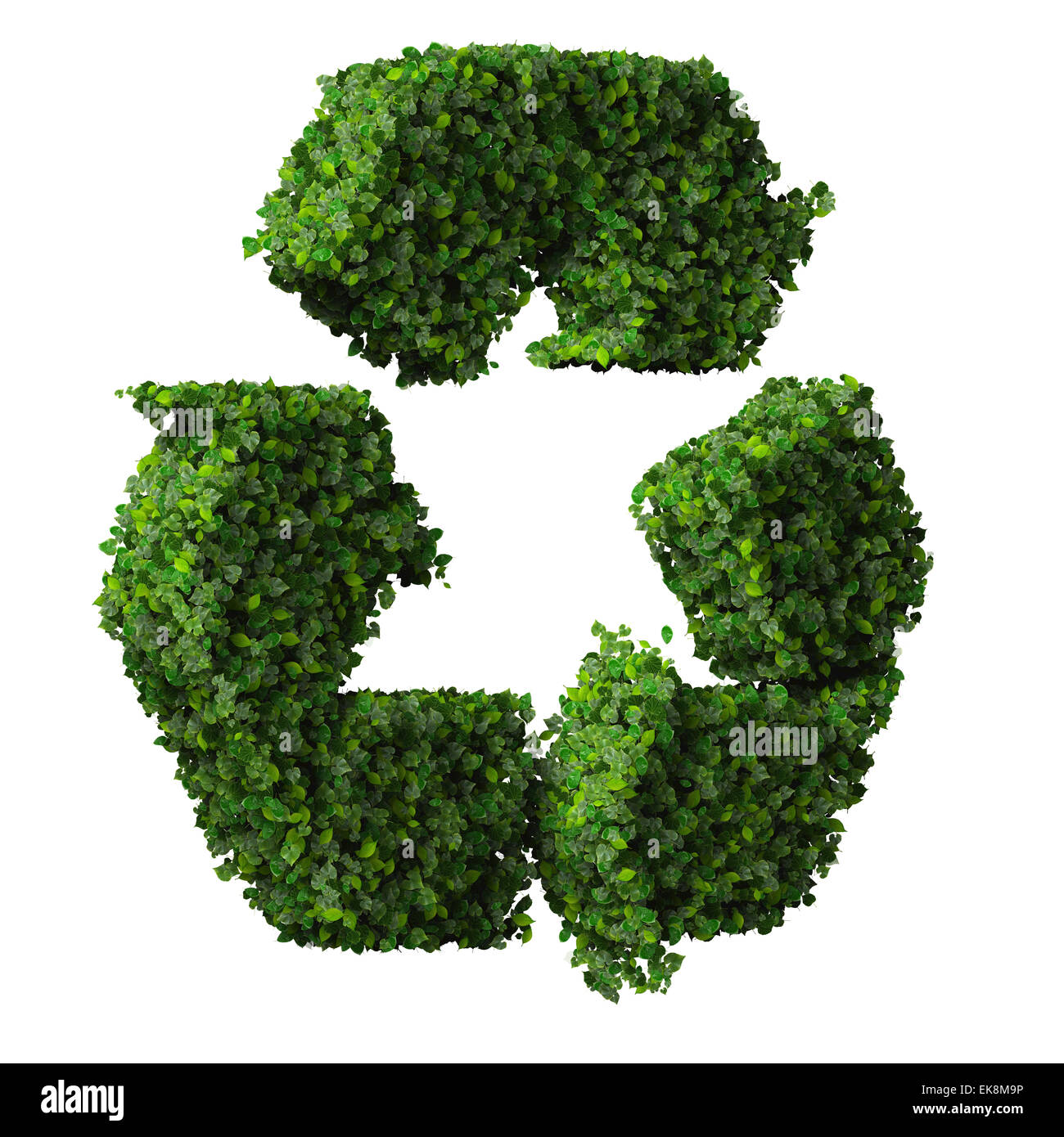 Eco sign made from green leaves isolated on white background. 3d render ...