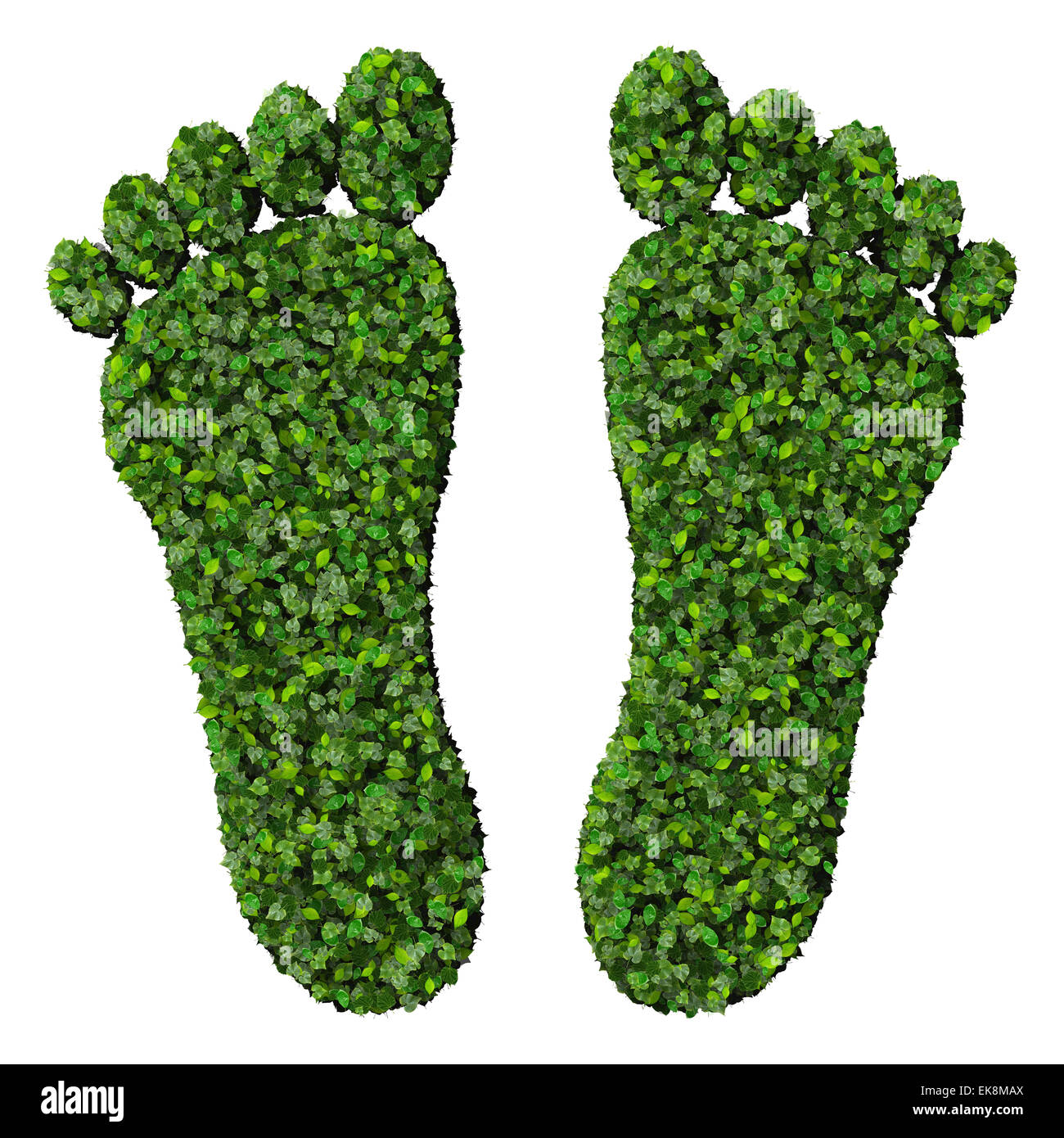 Feet made from green leaves isolated on white background. 3D render ...