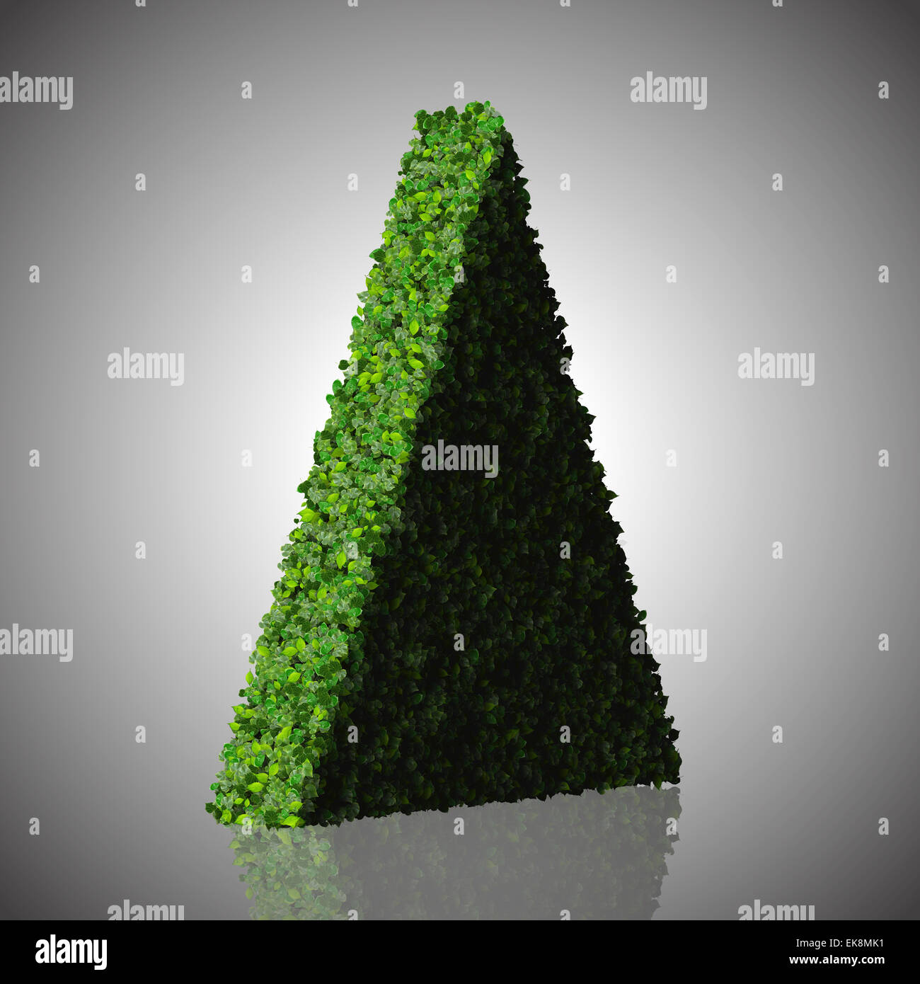 Triangle made from green leaves isolated on white background. 3D render ...