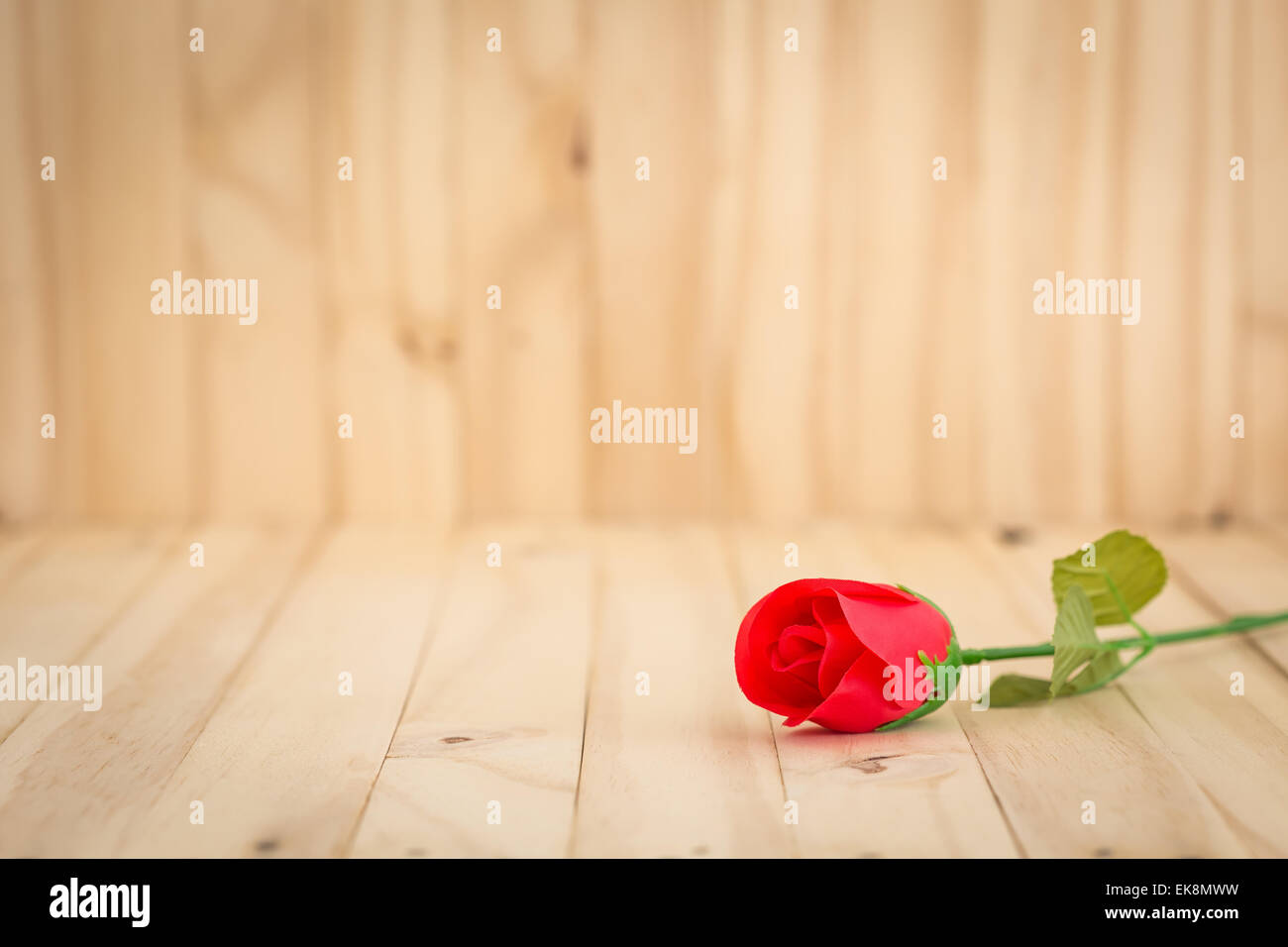 Rose on floor hi-res stock photography and images - Alamy