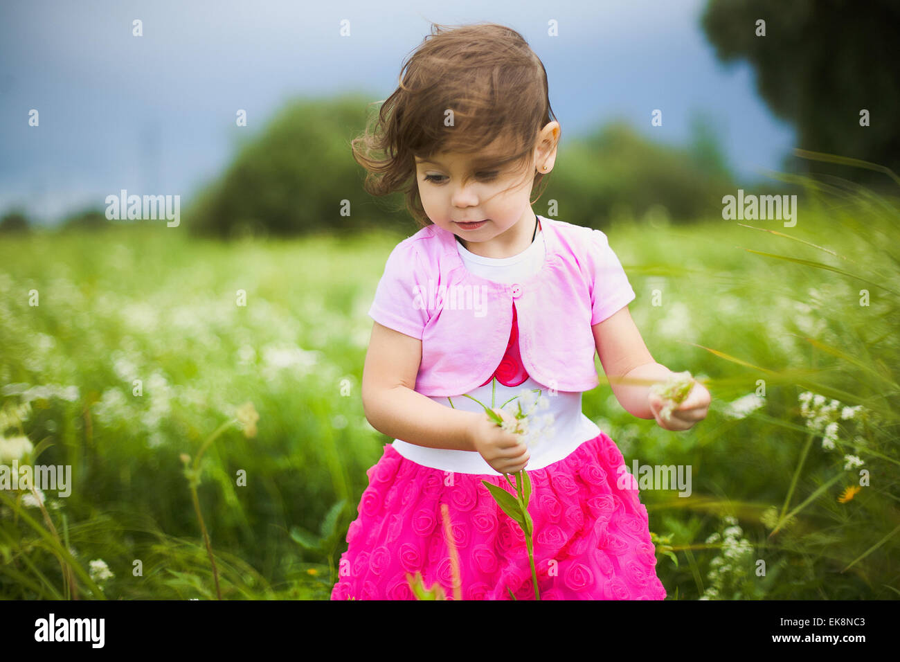Girl picking up flowers hi-res stock photography and images - Alamy
