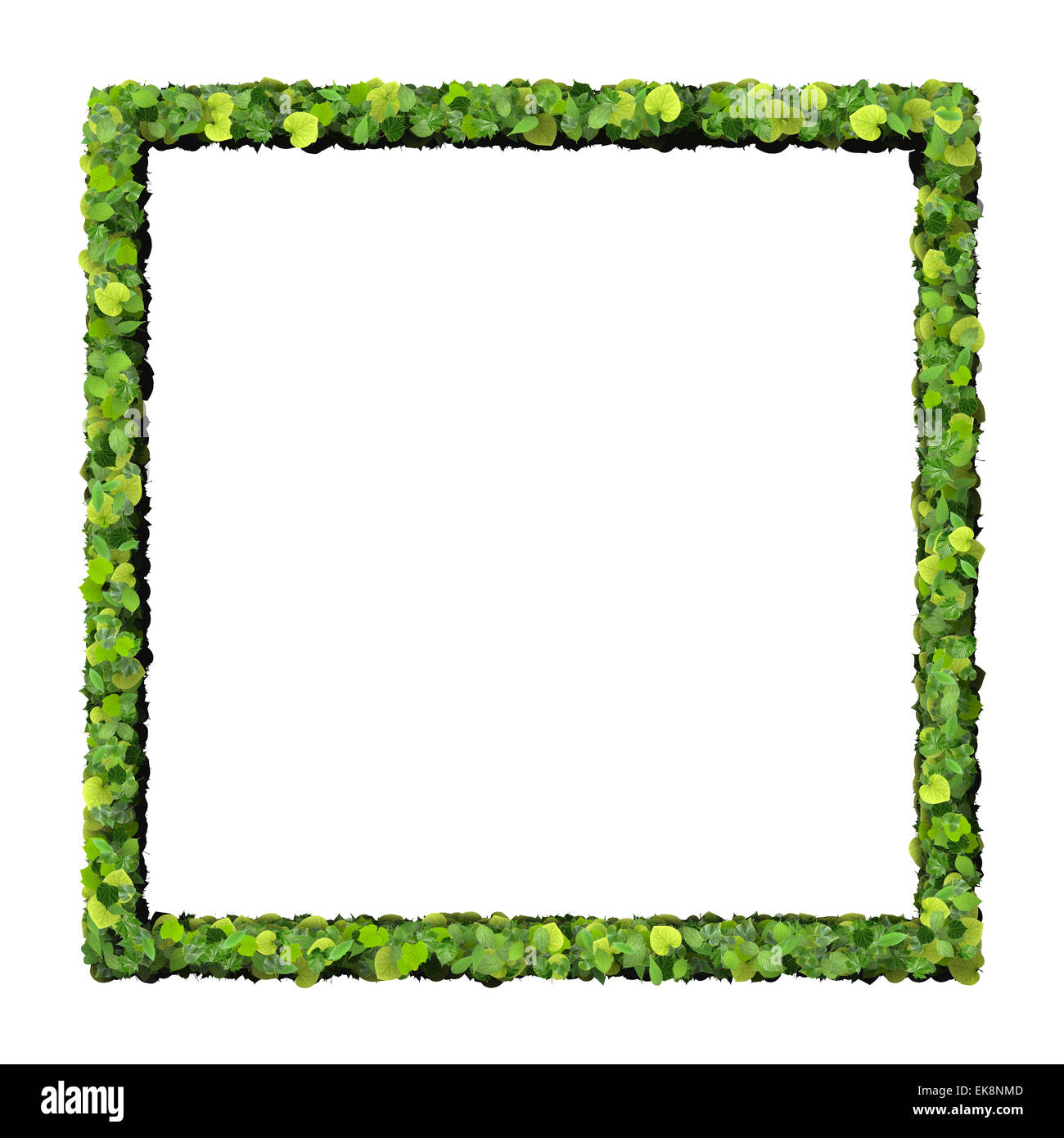 Square, quadrangle made from green leaves isolated on background. 3D ...