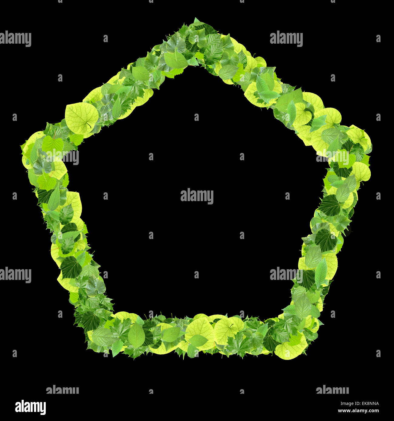 Pentagon made from green leaves isolated on white background. 3D render ...