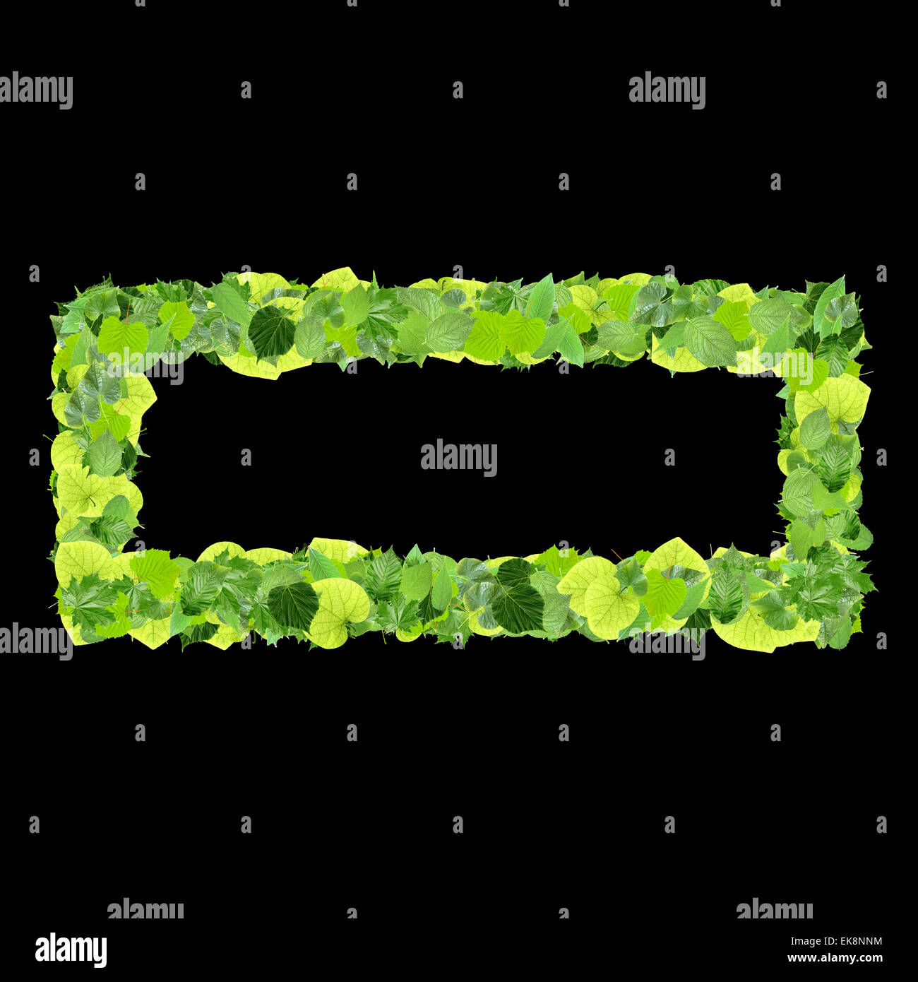 Quadrangle, rectangle made from green leaves isolated on background. 3D ...