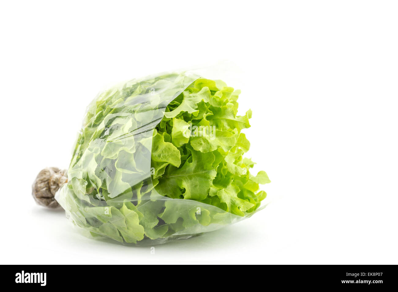 Fresh and green lettuce in clear plastic isolated on white background ...