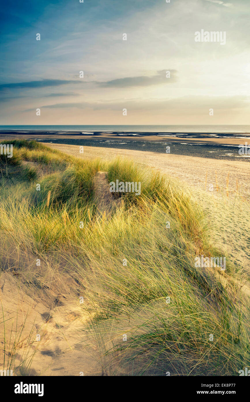 Evening Summer landscape over grassy sand dunes on beach with Instagram ...