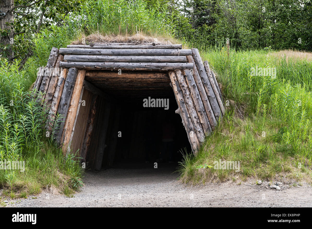 Alaska native hi-res stock photography and images - Alamy