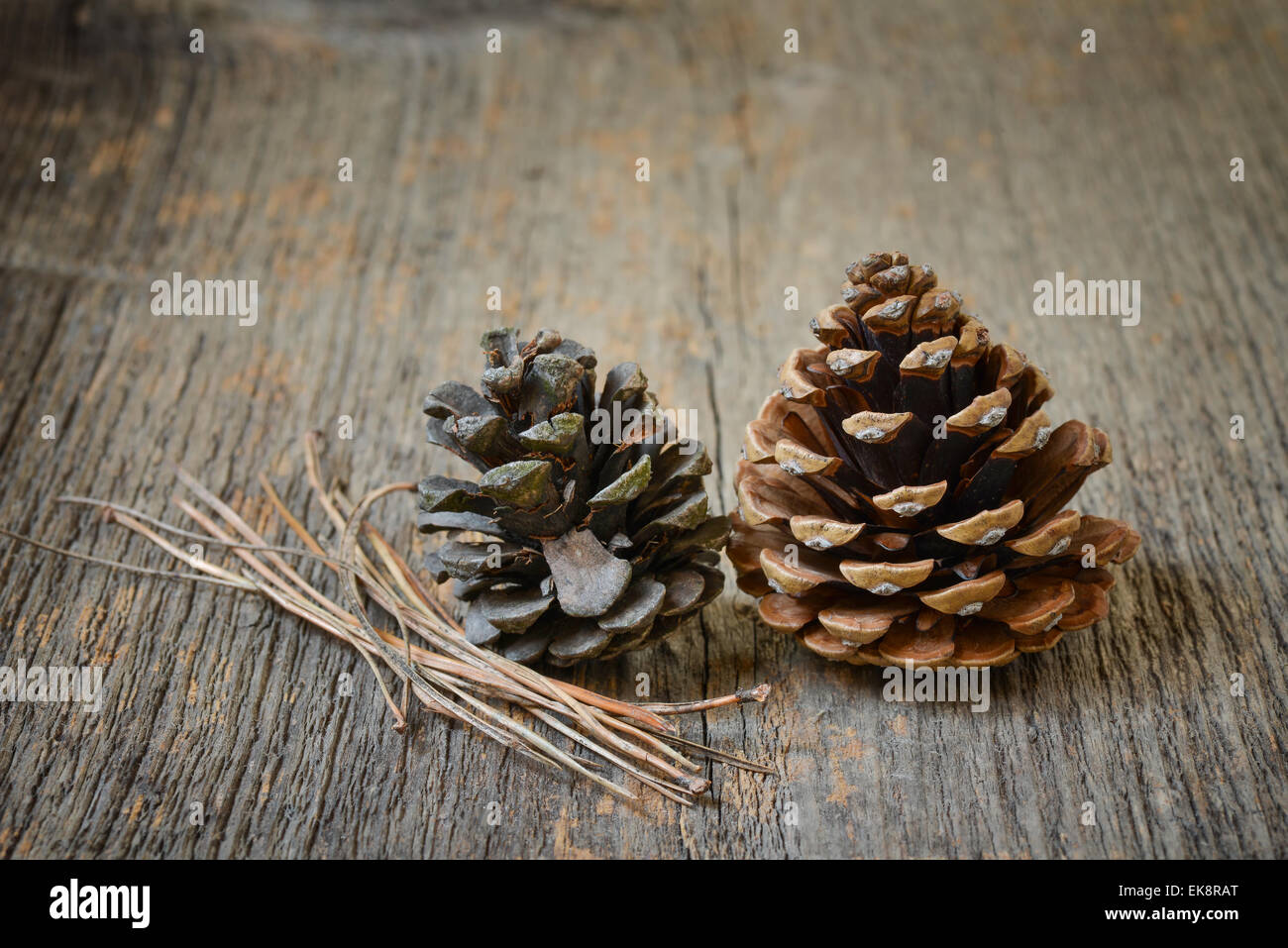 Two fir cones with branches Stock Photo - Alamy