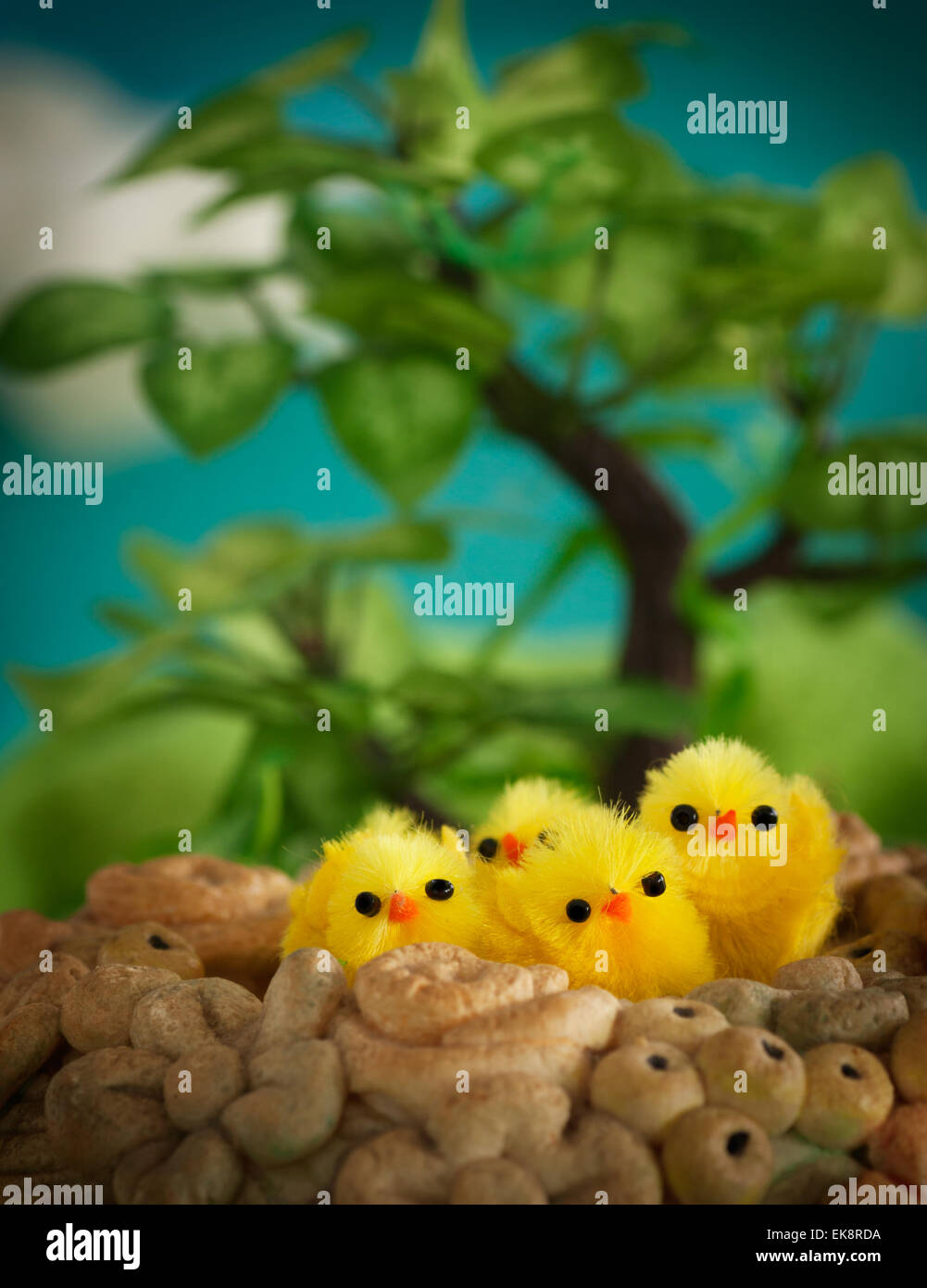 Happy easter chickens in hi-res stock photography and images - Alamy