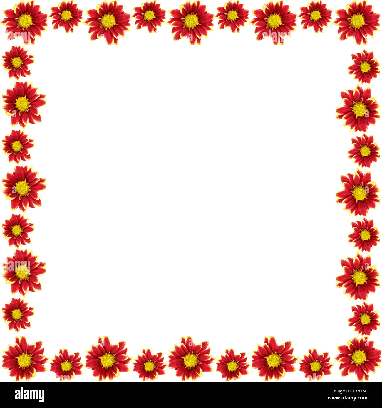Frame of red flower isolated on white background Stock Photo - Alamy