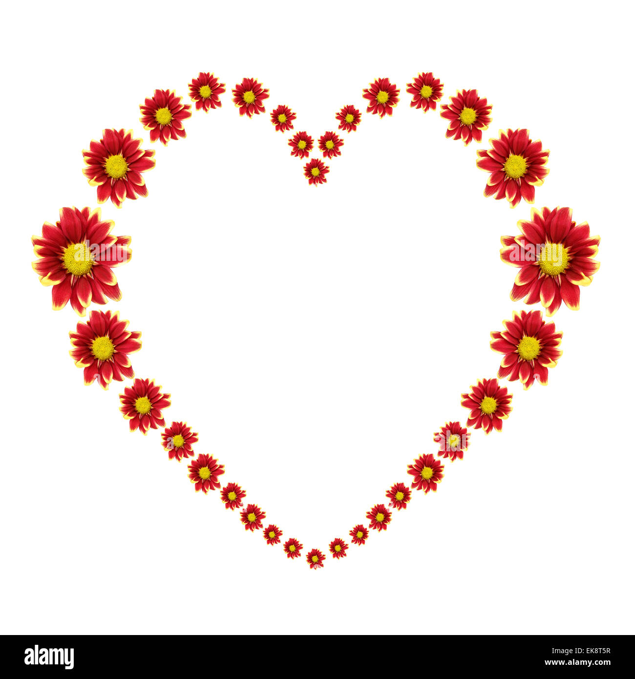Beautiful heart of red flower isolated on white background Stock Photo ...