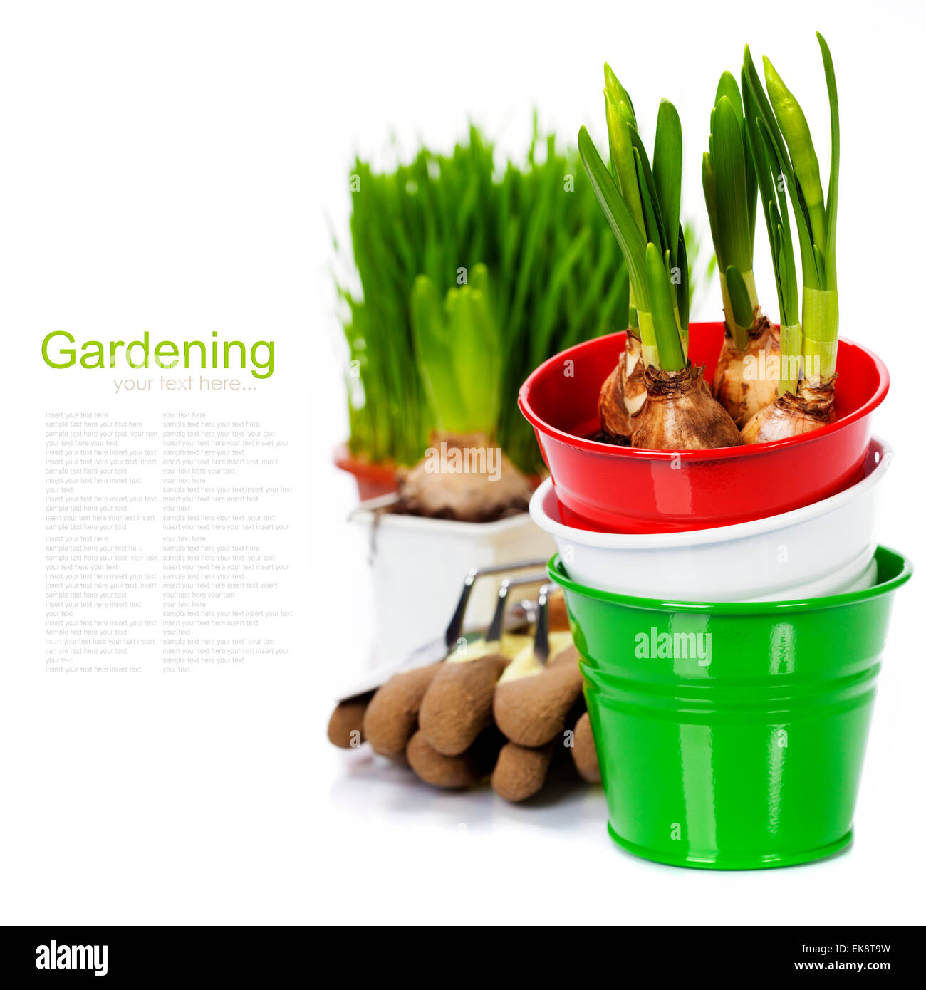 Spring flowers frame on Cut Out Stock Images & Pictures - Alamy